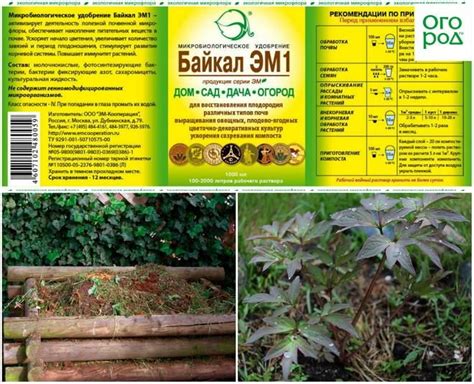 Чем подкормить пионы весной для пышного цветения | Peonies, Plants, Outdoor