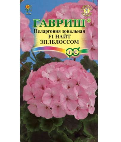 Пеларгония Найт Эплблоссом: описание сорта, характеристики, особенности ...