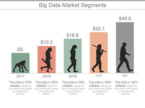 Big Data Market Segments Ppt PowerPoint Presentation Backgrounds