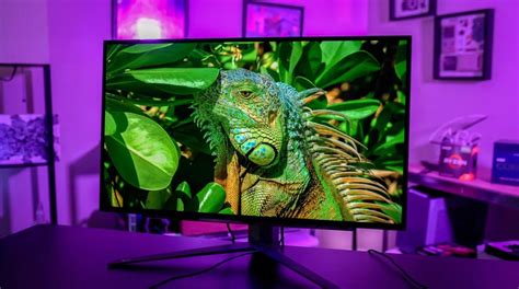 How To Set Up LG Ultragear Gaming Monitor Robots Net