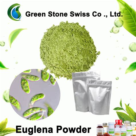 Buy Euglena Powder Oline Price Supply Manufacturer From Green Stone