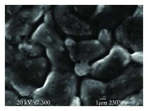 Sem Of Cdte Films Showing Effect Of Cdcl2 Treatment For A B Glass And Download Scientific
