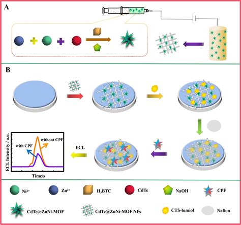 The Schematic Diagram Of Ecl Sensor Download Scientific Diagram
