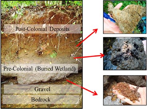Figure 11 From Investigating Organic Matter Mineral Interactions At The Molecular Scale An