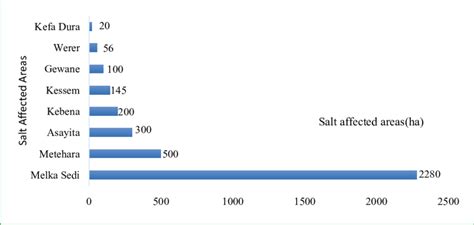 Salt Affected Soil Affected By Salt In The Middle Awash