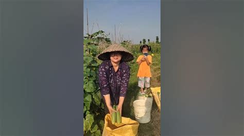 My Lovely Village Day 2 Youtube