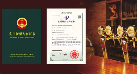丙烯、异丁烯氨氧化流化床催化剂发明专利 上海发明专利申请