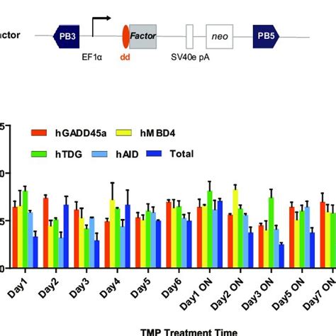 Regulation Of Dna Demethylation Related Factors During Reprogramming
