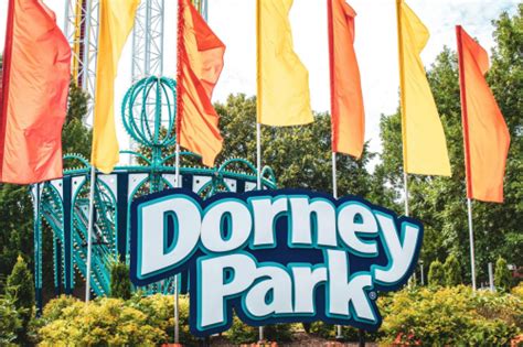 Create A Dorney Park Roller Coasters Tier List Tiermaker