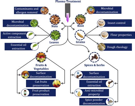 Plasma Application In Post Harvest Stages Of Agri Food Chain Download