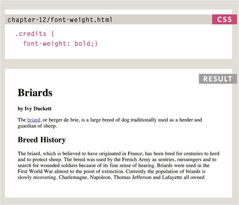 Css Introduction