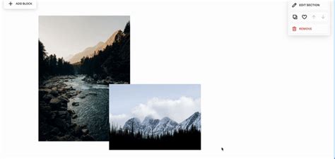 The Latest From Squarespace — Abi Bacon