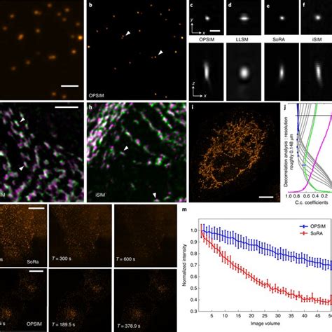 Combination Of Structured Illumination And Light Sheet Microscopy A