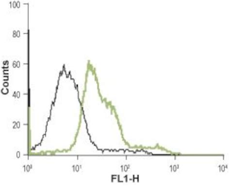 Alpha 1b Adrenergic Receptor Extracellular Polyclonal Antibody Aar