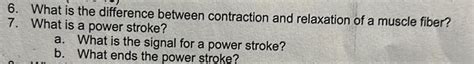 Answered 6 What Is The Difference Between Contraction And Relaxation Kunduz