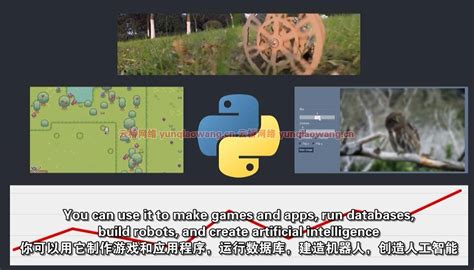 通过制作4个游戏学习python云桥网络