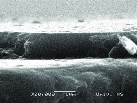 Sem Micrograph Of Cross Section Analysis Of Tin Coating Showing Its