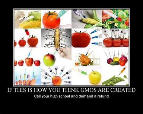 How Do You Think GMOs Are Made Genetic Literacy Project