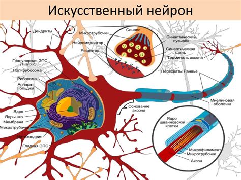 Искусственные нейронные сети презентация онлайн