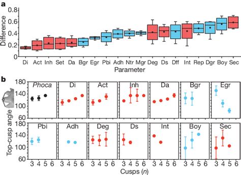 Variation In Cusp Position And Number Implicate The Same Download Scientific Diagram