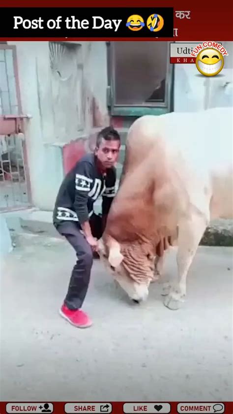 Matlab Programmer Humor Programing Jokes Computer Humor