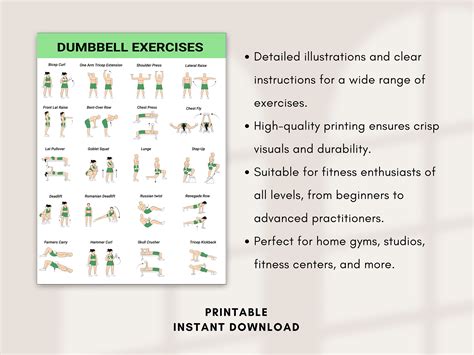 Dumbbell Workout Dumbbell Workout Chart Dumbbell Exercises Dumbbell