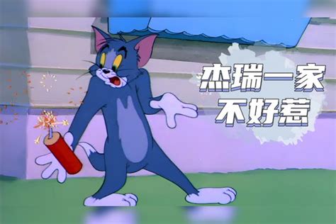 猫和老鼠盘点熊孩子的紧急救援杰瑞的贴身保镖竟然是它