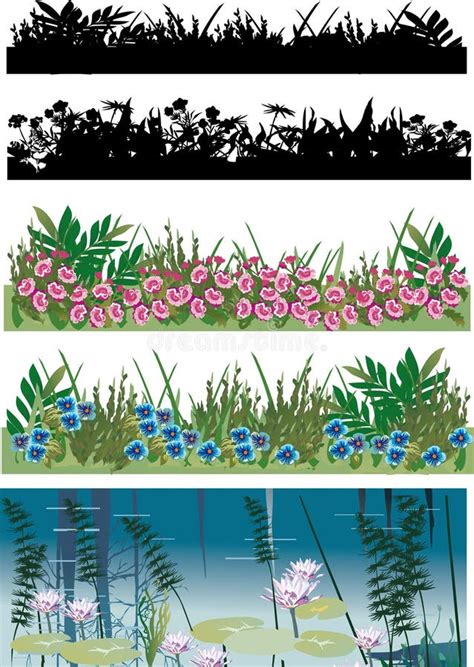 Sistema De Cinco Tiras De Las Flores Aisladas En Blanco Foto De Archivo