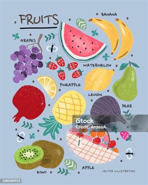 과일 벡터 음식 그림 바나나 수박 포도 딸기 석류 파인애플 무화과 배 키위 레몬 사과 포도에 대한 스톡 벡터 아트 및 기타 이미지 Istock