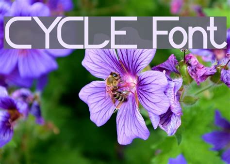 Cycle Font