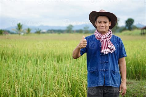Portrait Of Asian Man Farmer Is At Paddy Field Wears Hat Thumbs Up