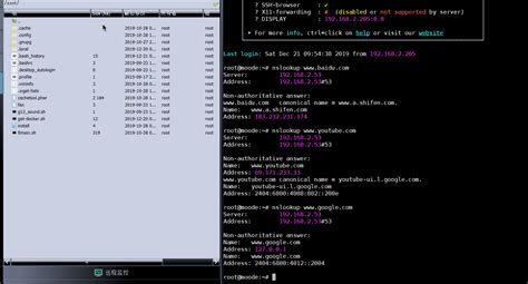 为什么我的google返回的是127 0 0 1 我用的openwrt里的smartdnsdhcp的dns是pihole Issue