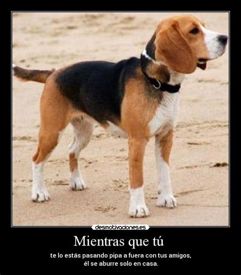 Imágenes Y Carteles De Sexooo Desmotivaciones