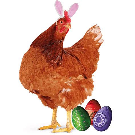 Cockerel Easter Design Dtf Ready Festive Diy Crafting