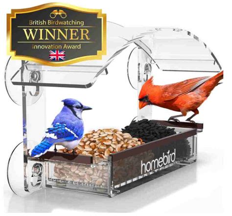 Homebird Window Bird Feeder 2025 Must Read Review