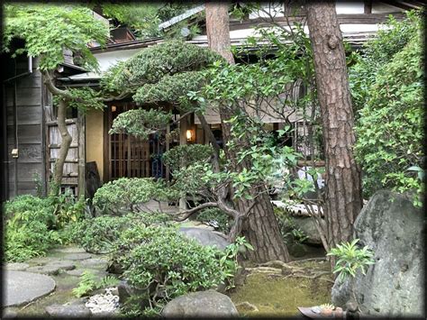 自由が丘の坪庭茶房古桑庵阪尾メガネ 東京の坪庭露地庭園 造形礼賛