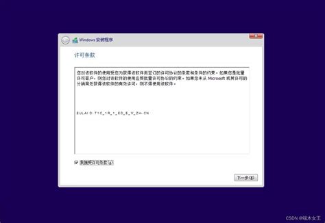 Windows 1011 家庭版and专业版 安装教程dism更换windows10家庭版改专业版 Csdn博客