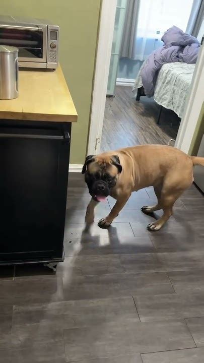 Fetch Fail Part 2 Youtube