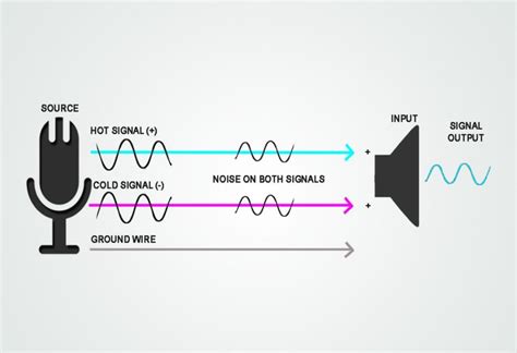 Headphone Jack Dan Plugs Semua Yang Perlu Kamu Ketahui Di 2025 Ditulis ID
