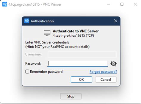 Running VNC Server On Google Cloud Shell With Ngrok Aih App