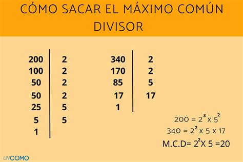 Máximo común divisor qué es y cómo sacarlo Descubre este concepto