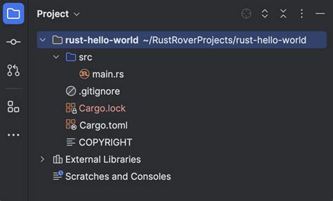 Project Tool Window Rustrover Documentation
