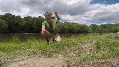 Murky Water Bass Fishing Youtube