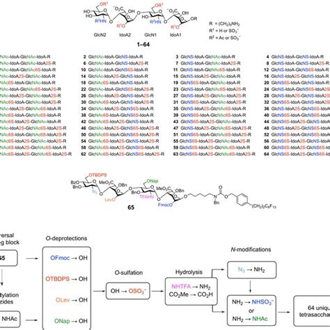 Synthesis Of A Comprehensive Hs Tetrasaccharide Library A 64 Compound