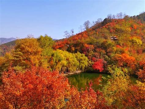 四川巴中：红叶天堂，邂逅秋日最美画卷仓山景色画廊