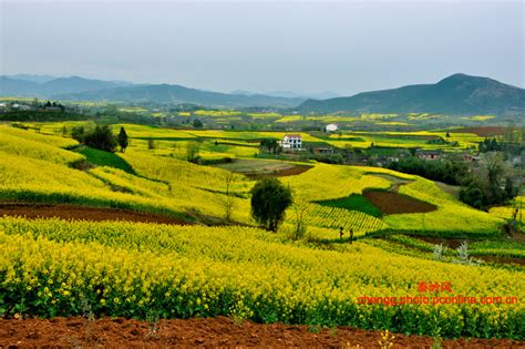 陕西汉中市菜花节洋县攻略摄影图片陕西省汉中市洋县风光摄影 太平洋电脑网摄影部落