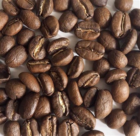 10 Best Light Roast Coffee Brands Of 2025 Top Picks And Reviews