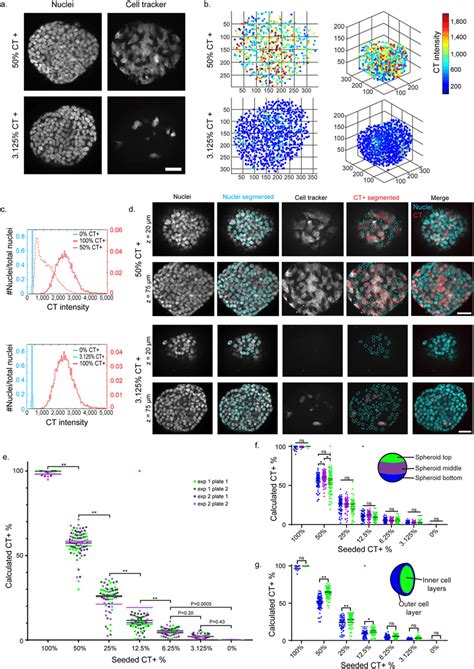 Cell Tracker Titration Experiment Demonstrated Utility Of Segmentation