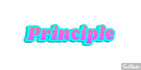Principle Word Animated  Logo Designs