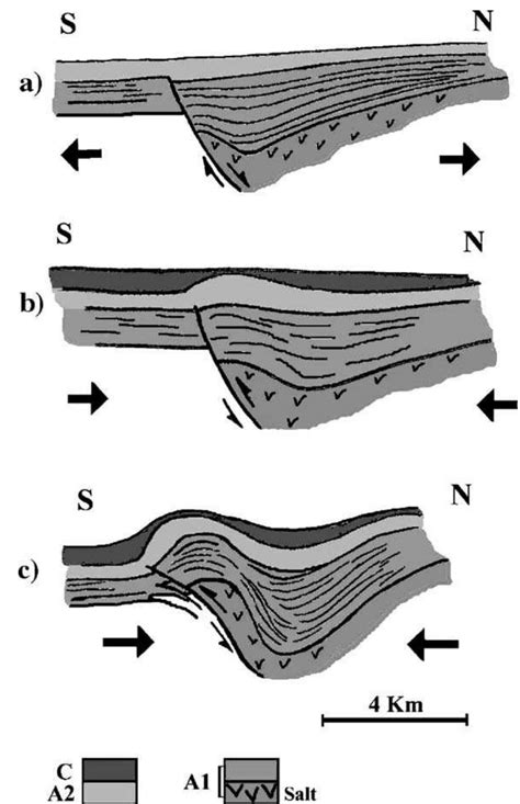 Schematic Reconstructed Cross Sections Of The Z Antiform A